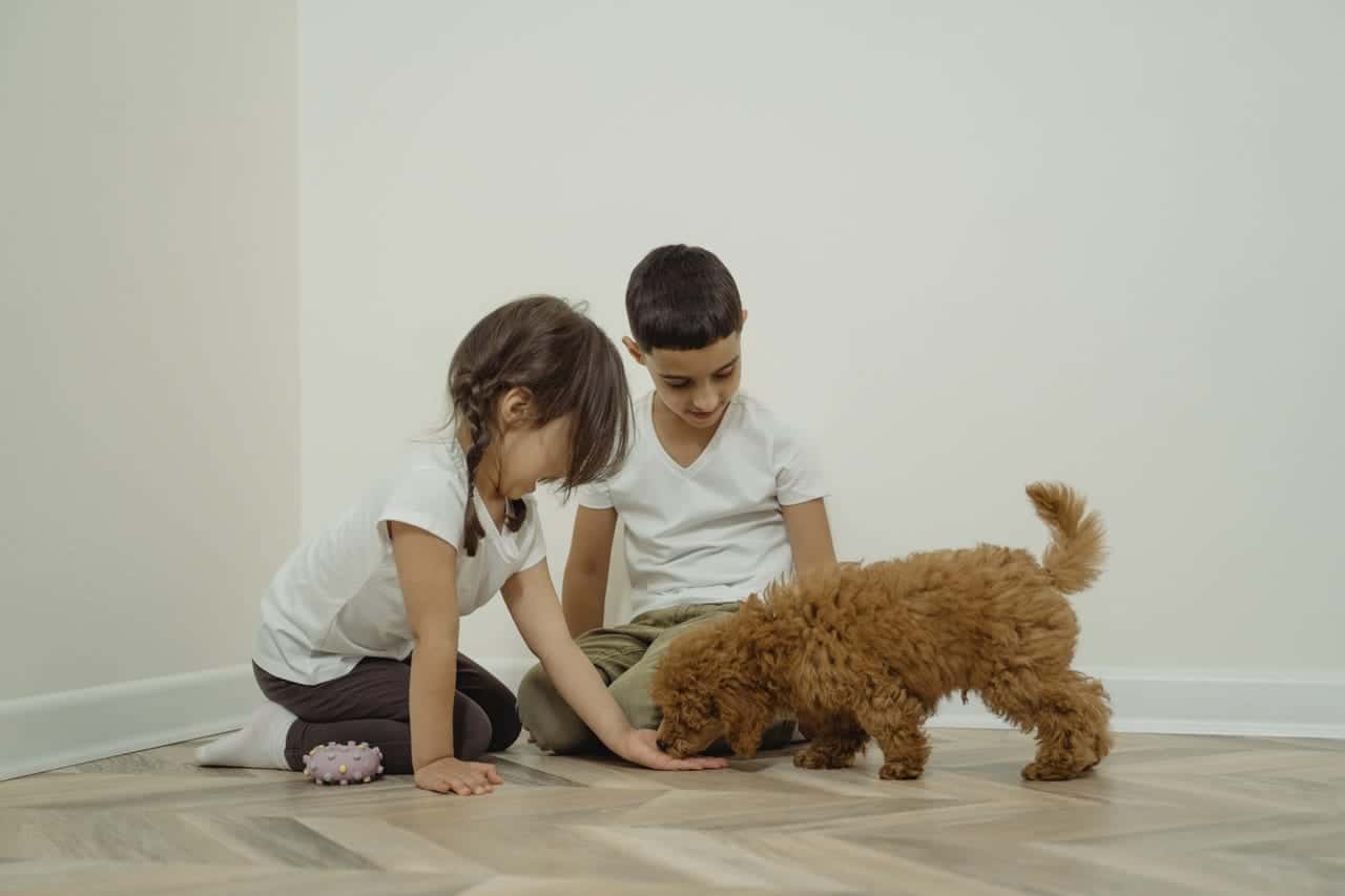 3 modele de parchet pentru camera copilului » Părinți moderni și copii ...